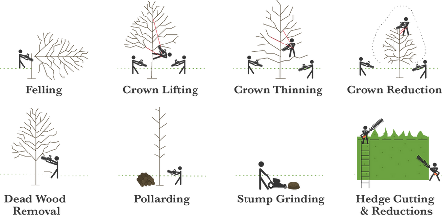 GressGardens | Garden Service & Tree Surgery | Berkshire